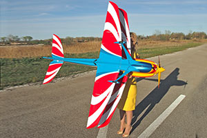 F3A Planes - Sebart.it