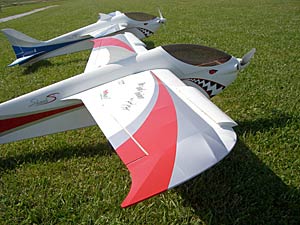 Trainers Page - Sebart.it